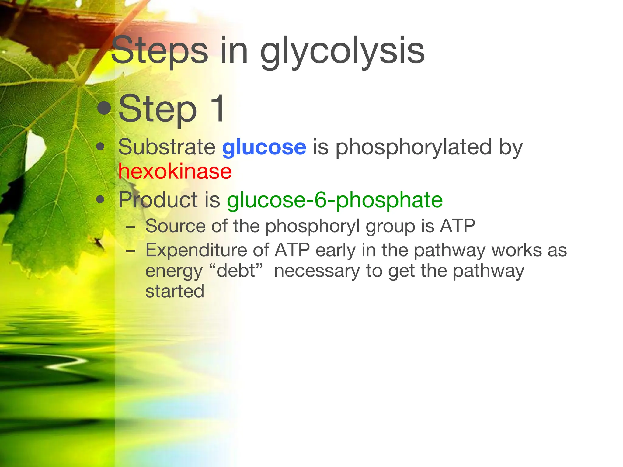 glucose metabolism and gluconeogenesis.pptx