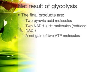 glucose metabolism and gluconeogenesis.pptx