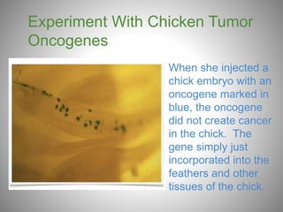 Glucose, microenvironments and cancer connections | PPT