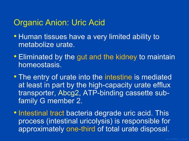 Renal Handling of Glucose, organic acid, uric acid and protein | PPTX