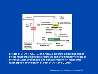 Renal Handling of Glucose, organic acid, uric acid and protein | PPTX