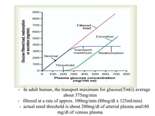 Glucose reabsorption | PPTX