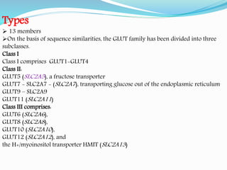 Glucose receptors1 | PPT