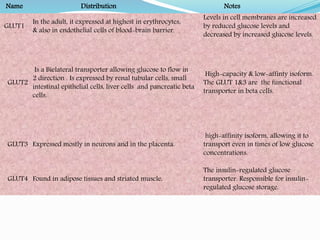 Glucose receptors1 | PPT