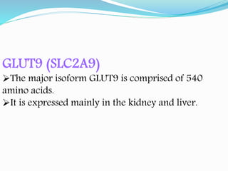 Glucose receptors1 | PPT