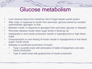 Glucose regulation pancreas liver | PPT