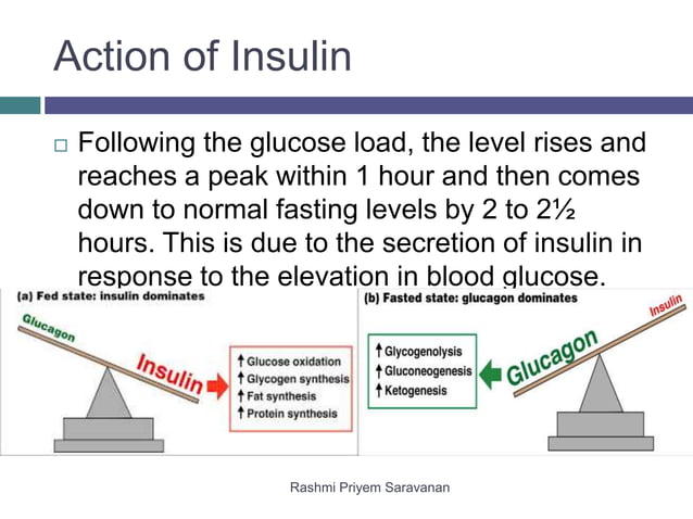 Glucose Tolerance Test | PPTX | Endocrine and Metabolic Diseases ...