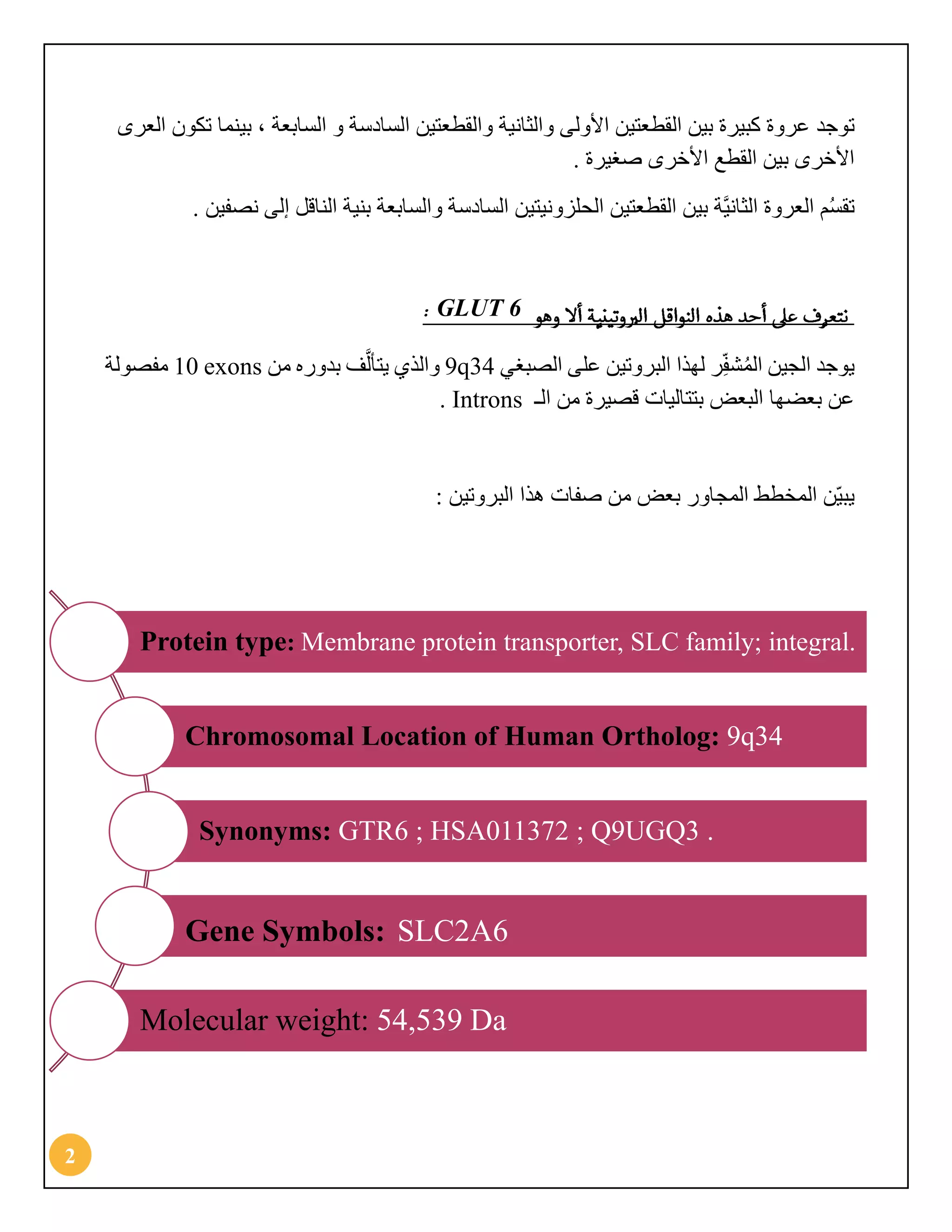 Glucose transporter 6 (glut6) | PDF