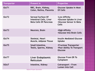Glucose Transporters | PPTX
