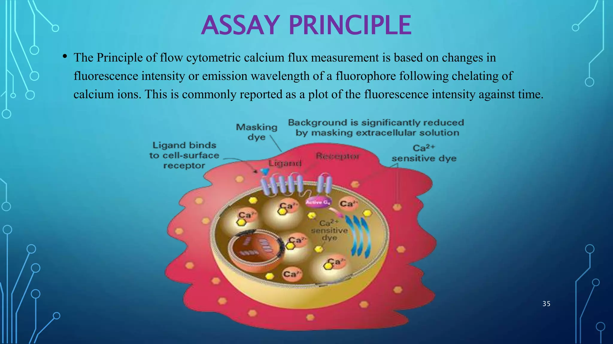 Glucose uptake and calcium influx assays.pptx