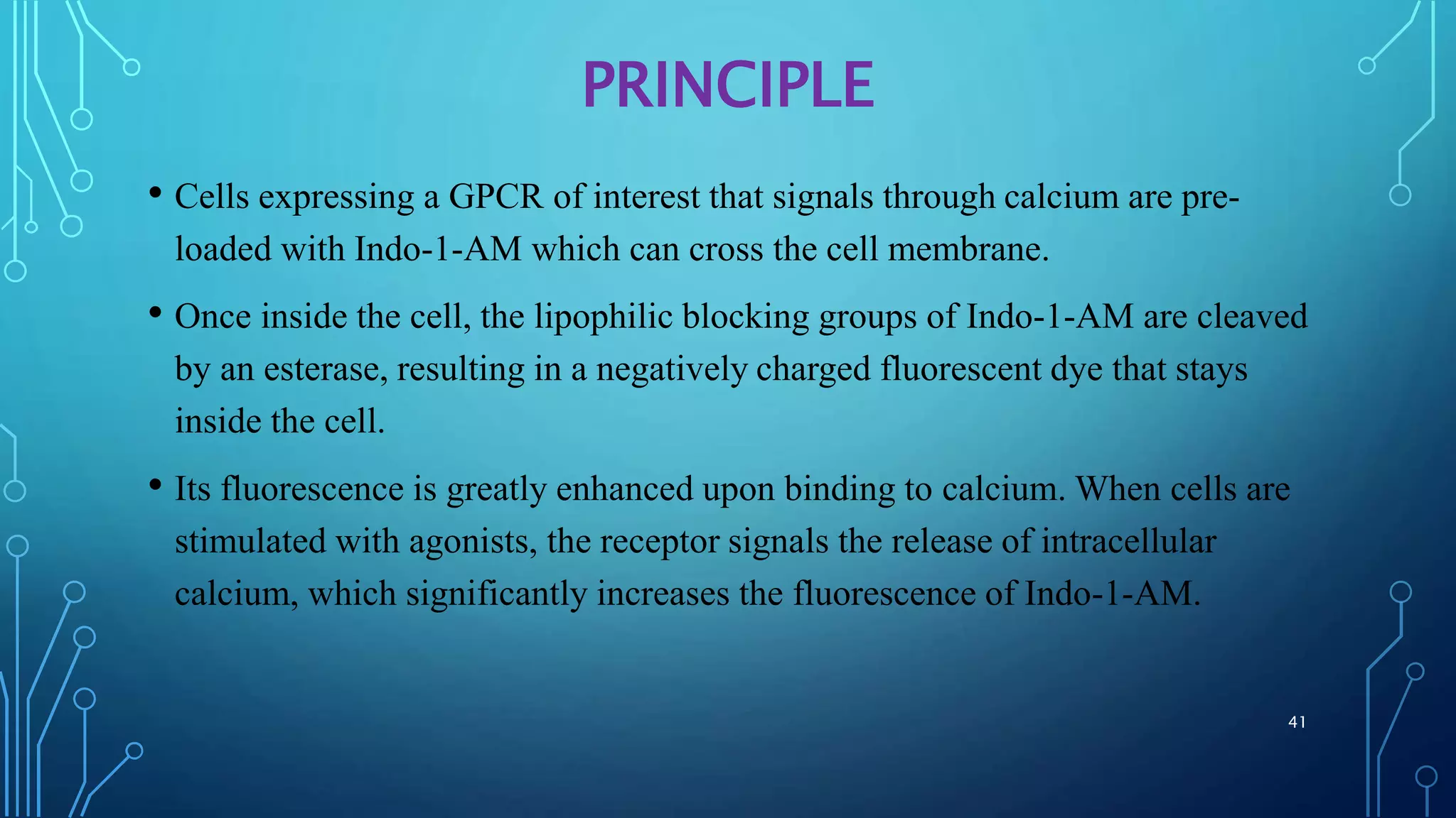Glucose uptake and calcium influx assays.pptx