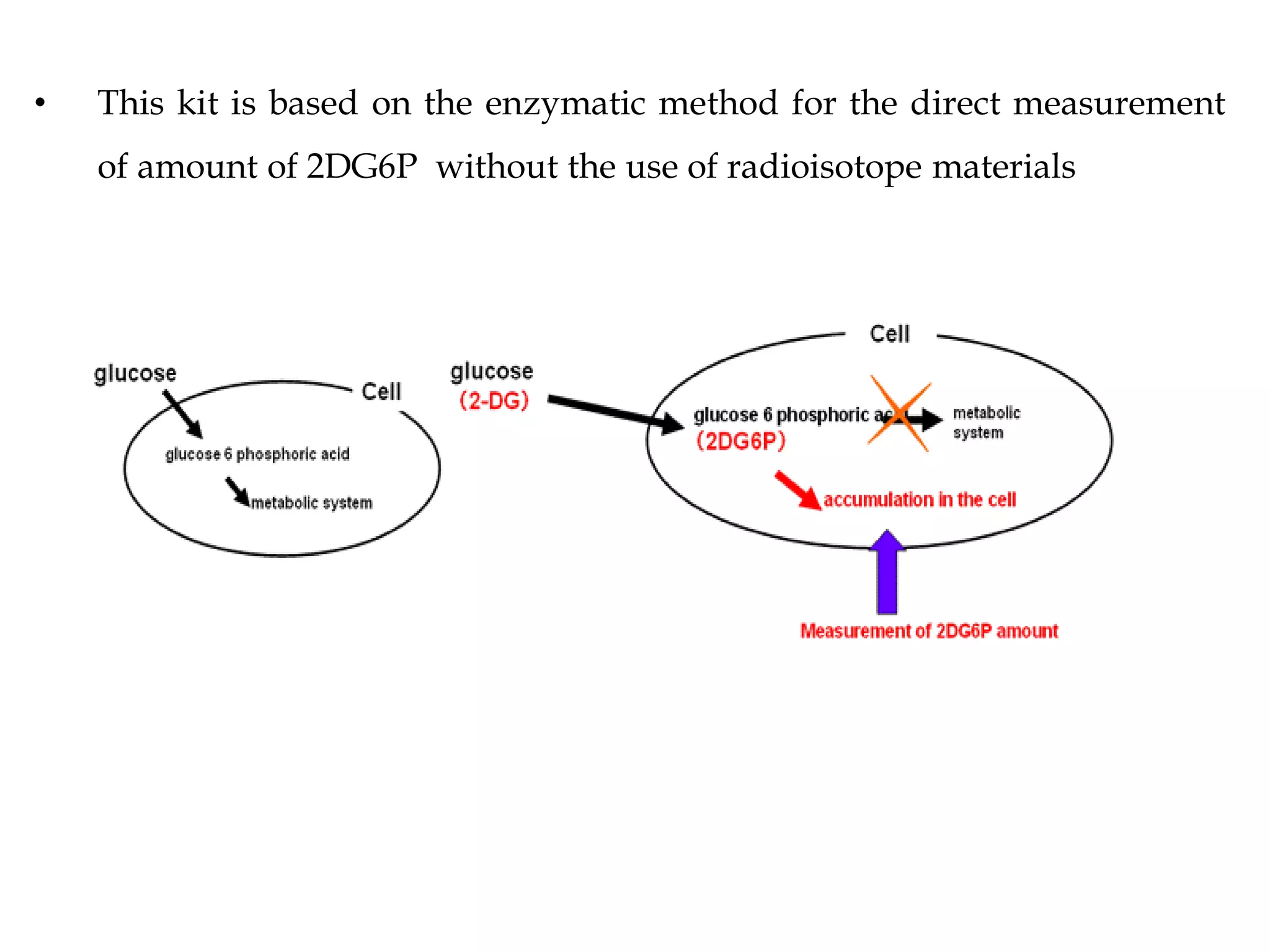 Glucose uptake assay | PDF