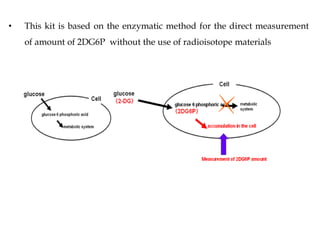 Glucose uptake assay | PDF
