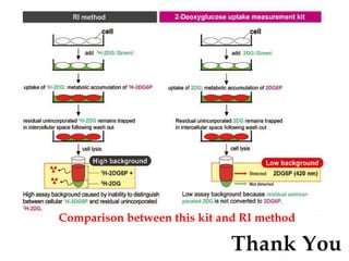 Glucose uptake assay | PDF