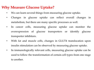 Glucose uptake assay | PDF