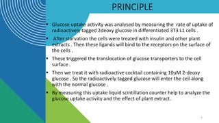 Glucose Uptake assay.pptx