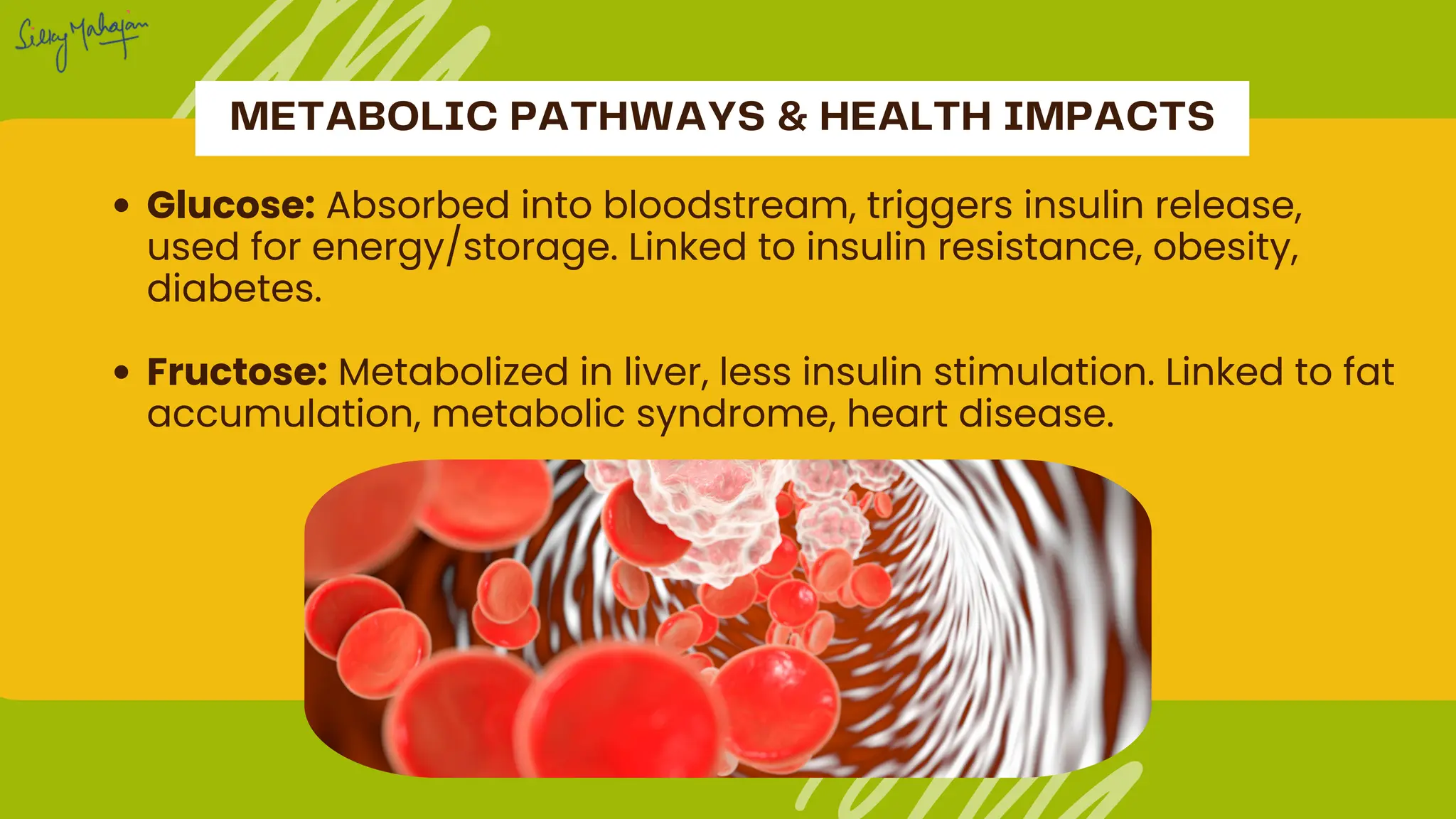 Exploring Fructose vs Glucose: Their Impacts And Differences | PDF