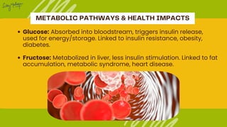 Exploring Fructose vs Glucose: Their Impacts And Differences | PDF