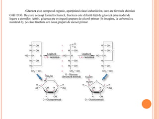 proiect10b_floreaungurean | PPT