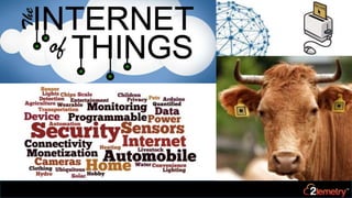 Programming The Arduino Due in Rust | PPT