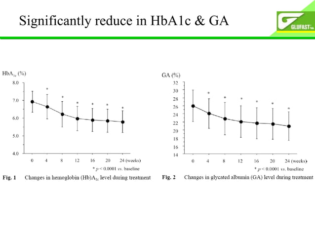 Glufast slide-2011[1].04