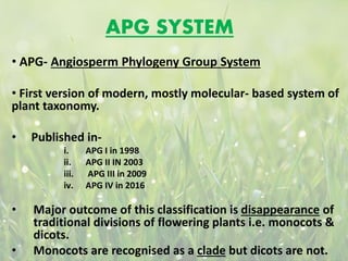 GLUMIFLORAE- phylogeny and families | PPTX