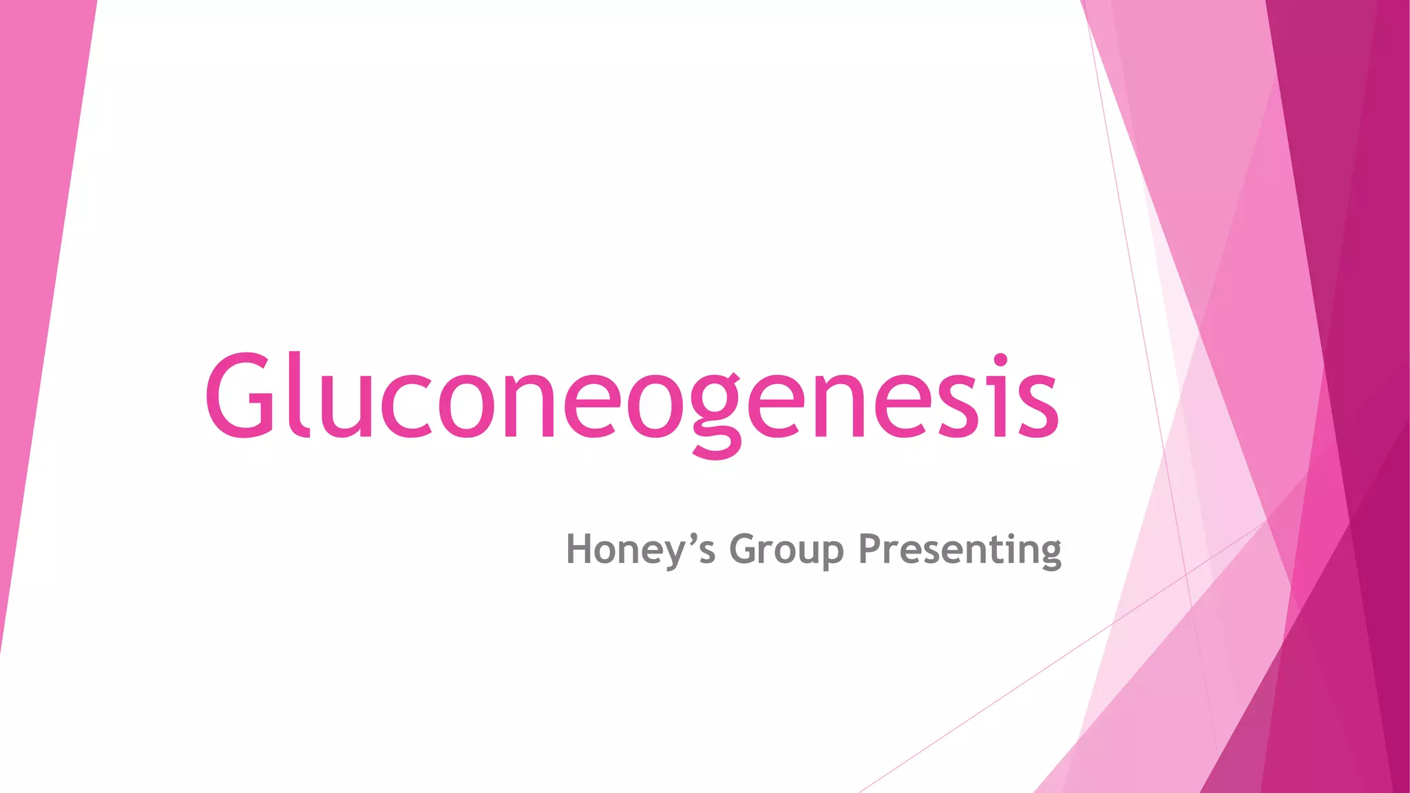 Gluneogenesis | PPTX