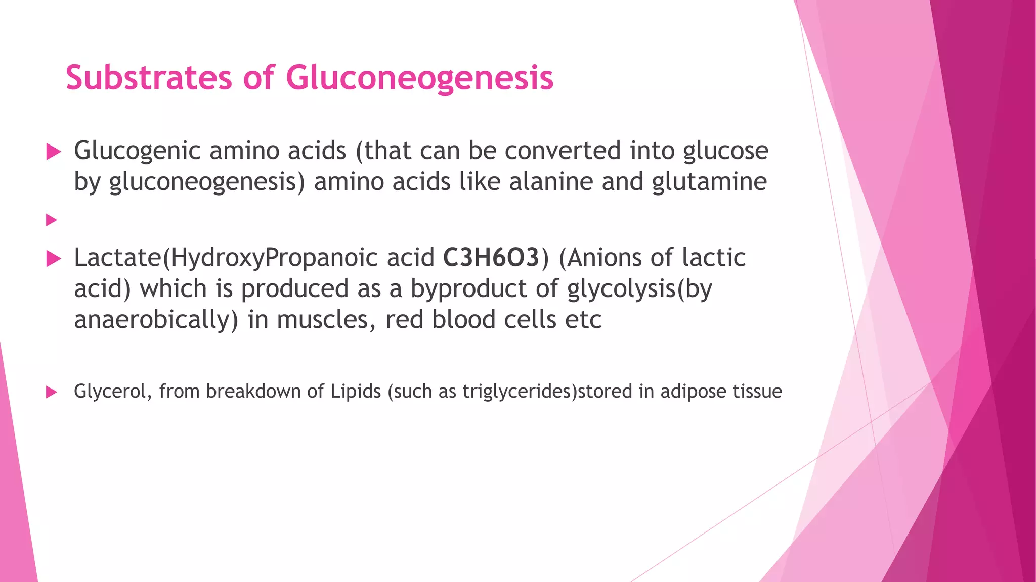 Gluneogenesis | PPTX