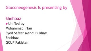 Gluneogenesis | PPTX
