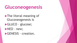 Gluneogenesis | PPTX