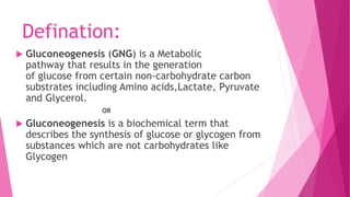 Gluneogenesis | PPTX