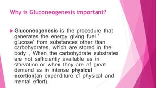 Gluneogenesis | PPTX