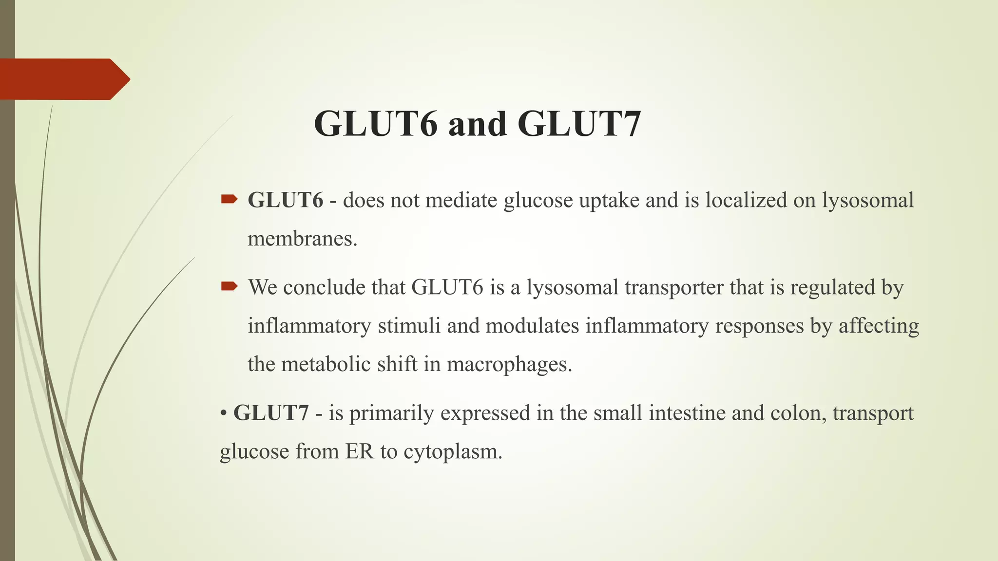 GLUT.pptx