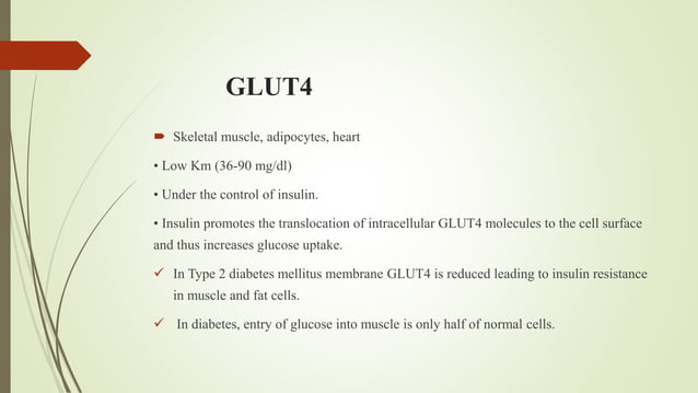 GLUT.pptx | Endocrine and Metabolic Diseases | Diseases and Conditions