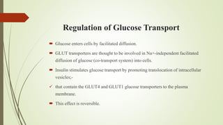 GLUT.pptx