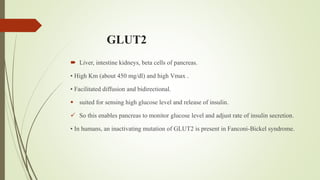 GLUT.pptx