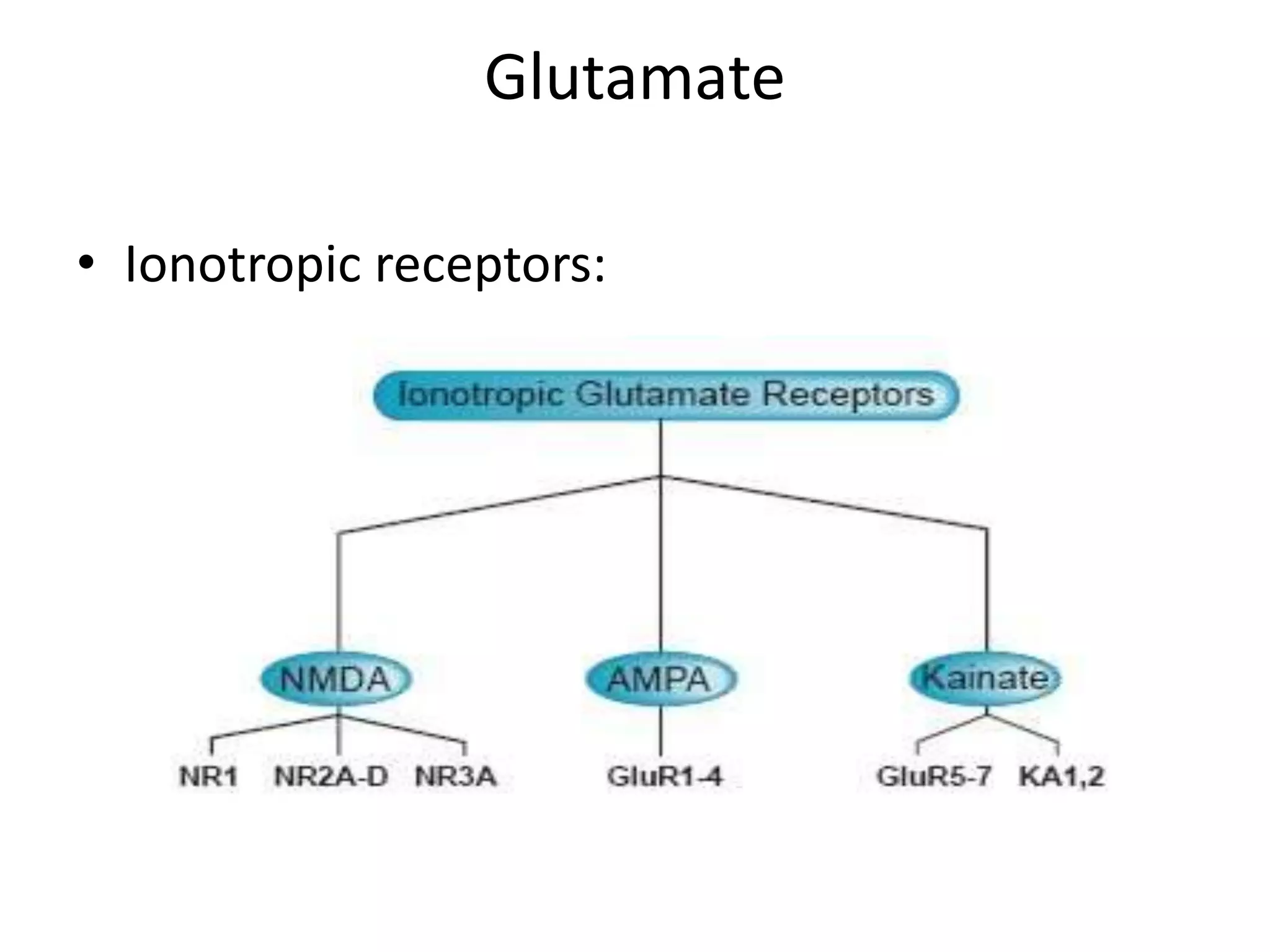 Glutamate | PPT
