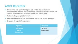 Glutamate and glycine | PPTX