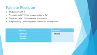 Glutamate and glycine | PPTX
