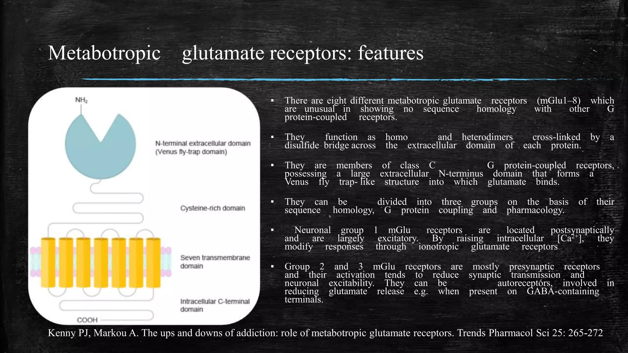 Glutamatergic system by Arghya | PPTX