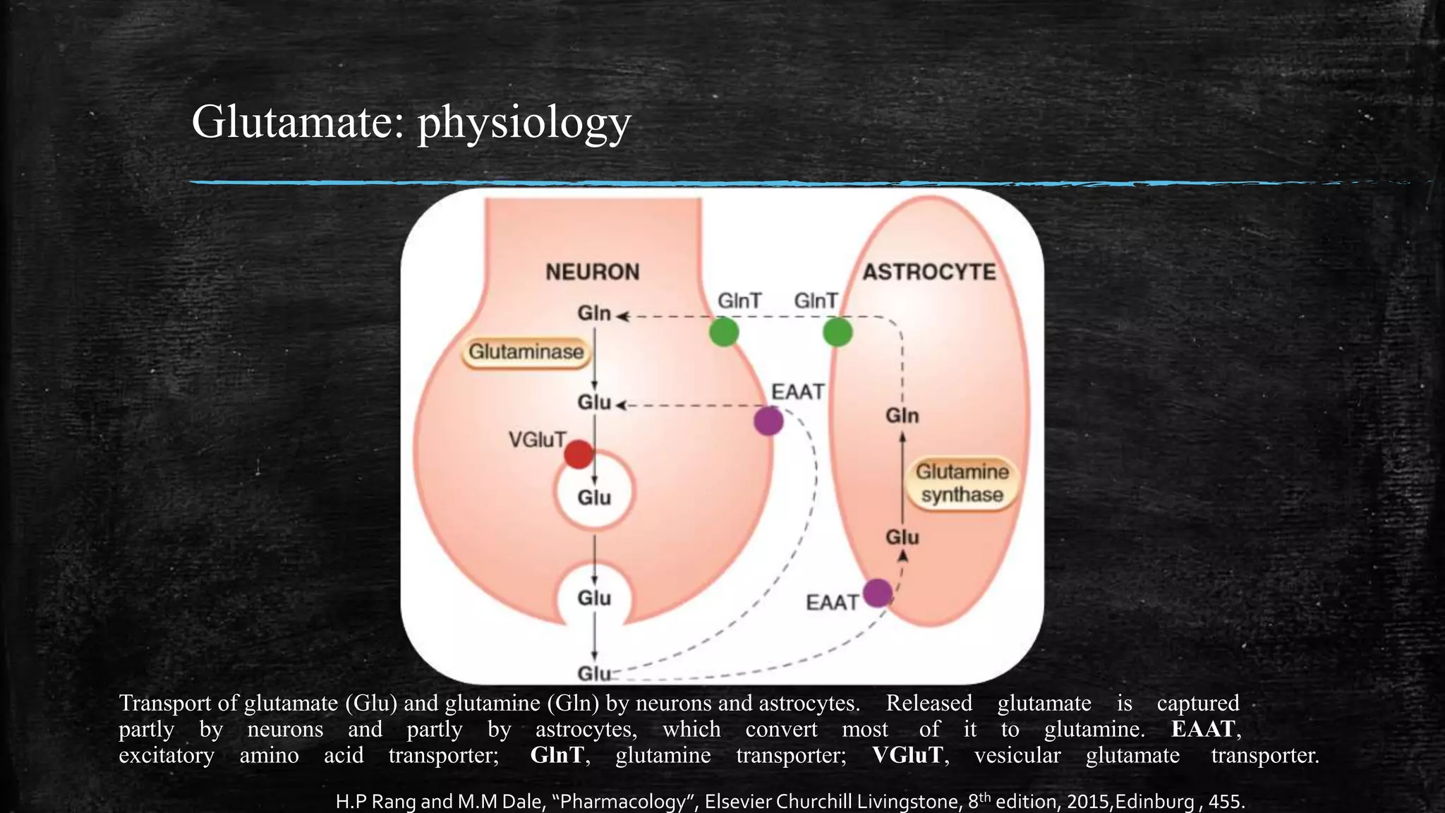 Glutamatergic system by Arghya | PPTX