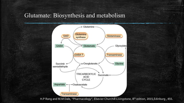 Glutamatergic system by Arghya | PPTX