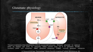 Glutamatergic system by Arghya | PPTX