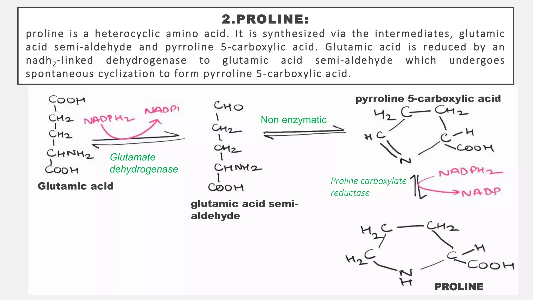 The Glutamate family by Pranzly.ppt