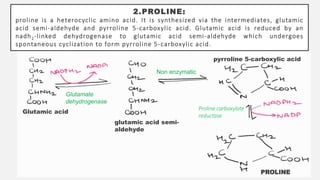 The Glutamate family by Pranzly.ppt | Chemistry | Science