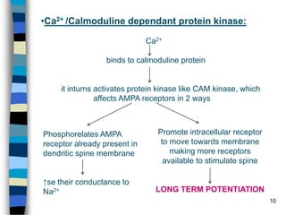 Glutamate receptor | PPTX