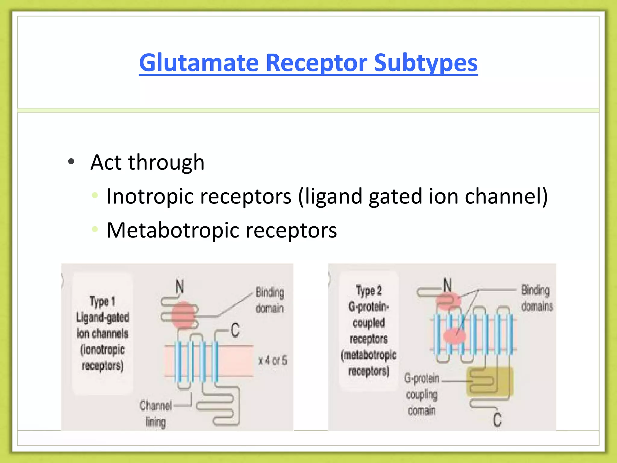 Glutamate receptors | PPTX