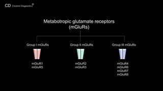 Glutamatergic synapse-pathway-Creative Diagnostics | PPTX