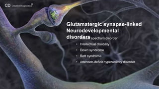 Glutamatergic synapse-pathway-Creative Diagnostics | PPTX