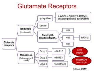 Glutamate & schizophrenia | PPT